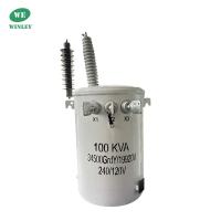 China Single Phase Pole Mounted Transformer 100 KVA 34500V Oil Immersed ANSI IEEE Copper for sale