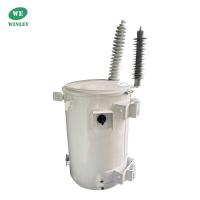 China Single Phase Pole Mounted Transformer 100 KVA 34500V Oil Immersed ANSI IEEE Copper for sale