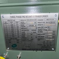 China 300KVA Three Phase Pad Mounted Transformer Oil Immersed 12870V to 208V ANSI IEEE for sale
