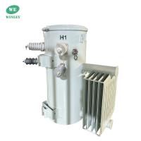 China 167kVA Single Phase Pole Mounted Transformer 12.47kV Oil Immersed ANSI IEEE DOE 2016 Overhead Distribution for sale