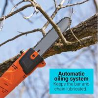 China 6.5A 2.65m Garden Electric Chainsaw 10 Inch Electric Pole Saw 9.5Ft For Branches for sale