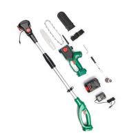 China Long Handle Mini Battery Powered Electric Chainsawmulti Angle Pole Saw For Tree Trimming for sale