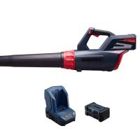 China 4.0Ah 1.8A Cordless Electric Garden Blower Rechargeable Electric Leaf 13000R/Min for sale