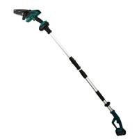 China 450w Mini Cordless 8 Inch Garden Electric Chainsaw Extendable Long Reach Tree Pruner for sale