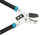 China Tree Branch Hedge Trimming 58mm Long Pruning Scissors For Agriculture Gardeners for sale