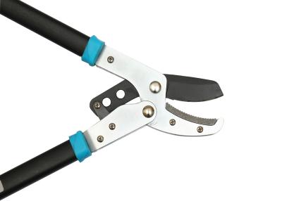 China Tree Branch Hedge Trimming 58mm Long Pruning Scissors For Agriculture Gardeners for sale