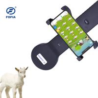 China Pet Long Range Passive Rfid Reader For Ear Tag Scan , Animal Chip Reader for sale
