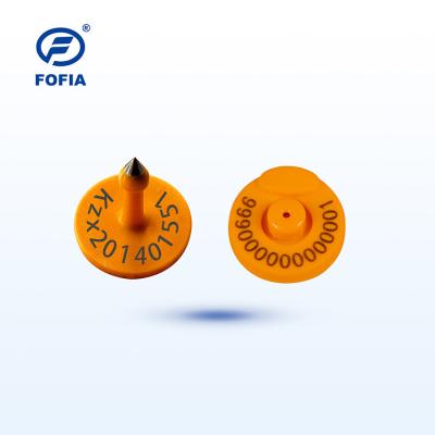 China ICAR Certified Electronic Ear Tag For Pig Identification In Slaughtering / Feeding for sale