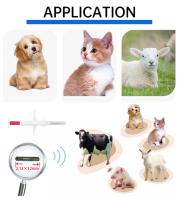 China ICAR Certified New Durable Waterproof RFID Animal Microchip ZS006 with IP67 for Dog Cat Cow Pig Sheep & Pet Injection Tag for sale