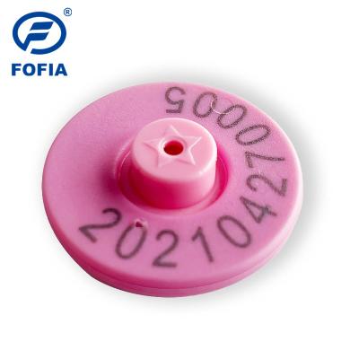 China UHF RFID Animal Ear Tag For Pig Management | 960MHz Tracking Solution for sale