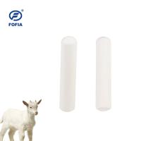 China Identification Mineral Bolus For Cattle / Bovine , Cosecure Sheep Bolus for sale