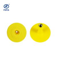 China Animal Identification Tags – For Sheep tags for sale