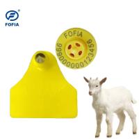 China Animal Identification Tags – For Sheep tags for sale