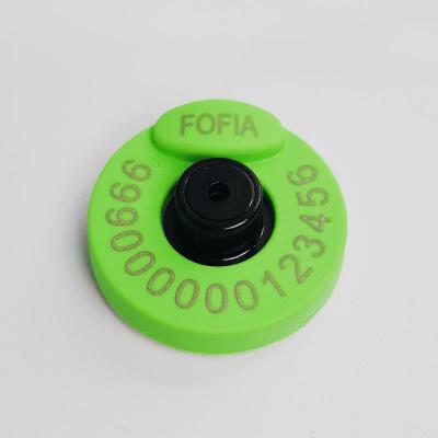China Professional Swine Ear Tags - ISO Compliant Lightweight Livestock ID Solution for Pig Farming Management for sale