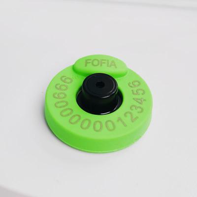 China Electronic Ear Tags - ISO Compliant RFID Livestock Tags for Dairy & Beef Cattle Management, Farm Animal Tracking for sale