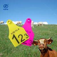 China TPU Material Animal Ear Tag with Customizable Colors and 5 Years Guarantee for Livestock Identification for sale