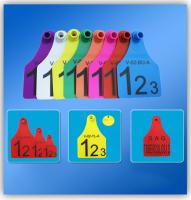 China TPU Material Animal Ear Tag with Customizable Colors and 5 Years Guarantee for Livestock Identification for sale