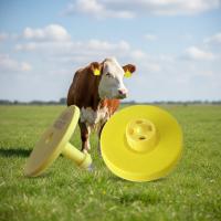 China Animal Ear Tags Electronic Ear Tags Designed to Enhance Livestock Tracking and Identification Systems for Cattle Sheep and Goats for sale