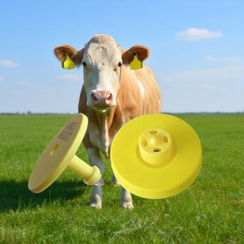China FULL ICAR Waterproof Electronic Ear Tags for Livestock Identification 
Rfid Animal Tag Suitable for Cattle Sheep and Goats for sale