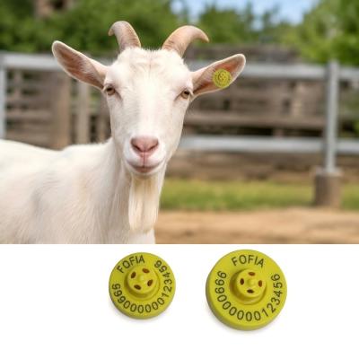 China Read range up to 22 cm with handheld reader swine ear tags laser printing durable livestock identification solution for sale