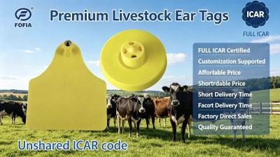 China FUll ICAR Certified Waterproof Durable ET956/ET957+T967 Electronic Ear Tags For Goat and Sheep Tracking And Identification Supporting Livestock Monitoring And Farm Traceability for sale