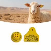 China Reading distance 22cm for FDX-B Sheep Ear Tags 4.0g Frequency 134.2KHz designed to enhance sheep farm productivity for sale