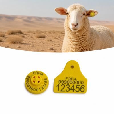 China Reading distance 22cm for FDX-B Sheep Ear Tags 4.0g Frequency 134.2KHz designed to enhance sheep farm productivity for sale