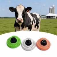 China Identification swine ear tags perfect choice for farms animal identification and inventory control for sale