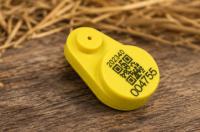 China Durable Electronic Ear Tags for Animal Identification Designed to Provide Accurate and Tracking Solutions for Livestock Management for sale