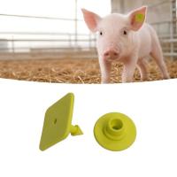 China More Than 5 Years Validity Swine Ear Tags Laser Printing Livestock Tags Designed for Easy Identification and Management for sale