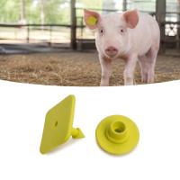 China Validity More Than 5 Years Swine Ear Tags EPC Gen2 V2.0 Certified Tags Engineered For Durable And Swine Herd Traceability for sale