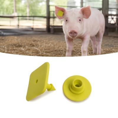 China Validity More Than 5 Years Swine Ear Tags EPC Gen2 V2.0 Certified Tags Engineered For Durable And Swine Herd Traceability for sale