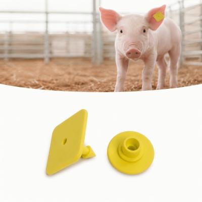 China Frequency 860–960MHz Electronic Ear Tags Yellow Color Customizable Temperature Range Minus 30°C to 60°C and Livestock Tracking Tags for sale