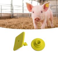 China Laser Printing Swine Ear Tags Featuring EPC Gen2 V2 0 Compliance Standards Ideal For Livestock Tracking And Farm Management for sale