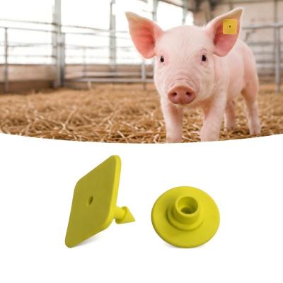 China Laser Printing Swine Ear Tags Featuring EPC Gen2 V2 0 Compliance Standards Ideal For Livestock Tracking And Farm Management for sale
