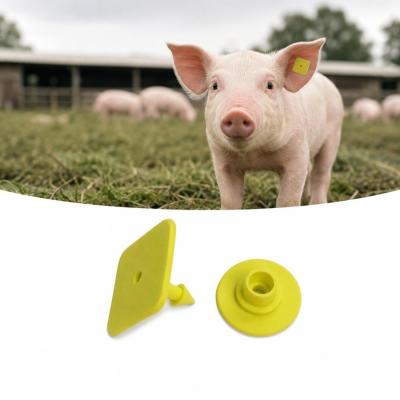 China UHF Electronic Animal Ear Tag TPU Lightweight 3.2 Grams Identification Tags for Accurate Livestock Tracking and Data Collection for sale