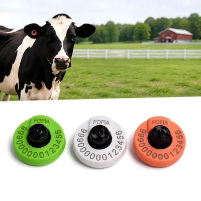 China ICAR Approved Electronic Ear Tag | TPU RFID Cattle Traceability Tag With 22cm Reading Distance And ISO11784/5 FDX-B R/W Standard for sale