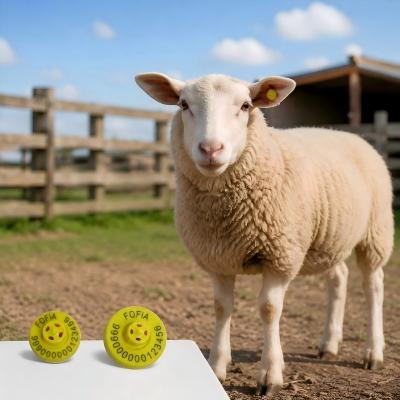 China Streamline Livestock Management With Two-Piece Yellow Sheep Ear Tags for sale