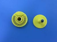 China TPU Material RFID Ear Tags 134.2KHz Mini Cow Pig Ear Tag for sale