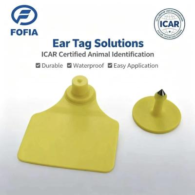 China Durable Waterproof ICAR Fofia T904 +T901 Animal Ear Tag Chip RFID TPU Laser Coding 3 Year Warranty Cattle Tracking for sale
