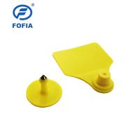 China Durable Waterproof ICAR Fofia T904 +T901 Animal Ear Tag Chip RFID TPU Laser Coding 3 Year Warranty Cattle Tracking for sale