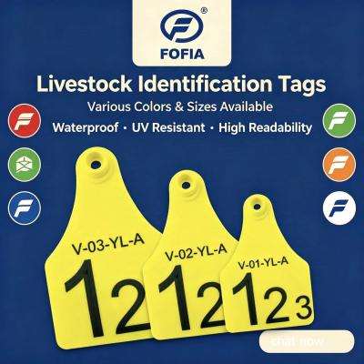 China New Plastic Cow Ear Tags Bovine Cattle Sheep & Pig Farm Use Ear Mark Tags with Number Animal Tracking Chip for sale