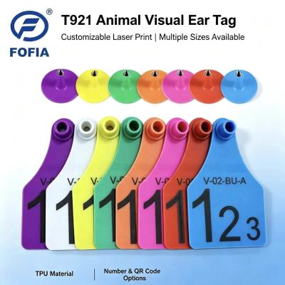 China Fofia T921 New Animal Ear Tag High Quality RFID TPU Chip Laser Coding 1.5 Year Warranty for Farm Cattle Cow/Pig/Sheep for sale