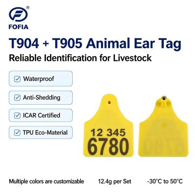 China ICAR Certified RFID Cattle Ear Tags T904 T905 TPU Laser Coding Waterproof 70 X 57 mm Livestock Identification for sale