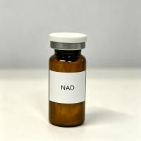 China Direct Absorption NAD Powder Cellular Energy Boost Anti Senescence Ingredient for sale