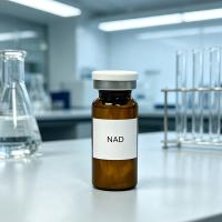 China Coenzyme NAD Powder Metabolism Regulation And Cellular Repair Raw Material for sale