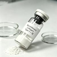 China Aesthetic Repair Dermal Filler Products Skin Regenerating Collagen I+III For Sensitive Skin for sale