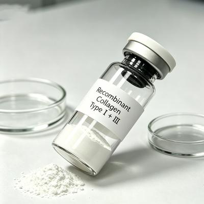 China Aesthetic Repair Dermal Filler Products Skin Regenerating Collagen I+III For Sensitive Skin for sale