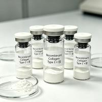 China Aesthetic Repair Dermal Filler Products Skin Regenerating Collagen I+III For Sensitive Skin for sale