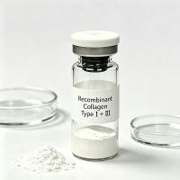 China Barrier Repair Anti Aging Recombinant Collagen I+III for Premium Skincare for sale